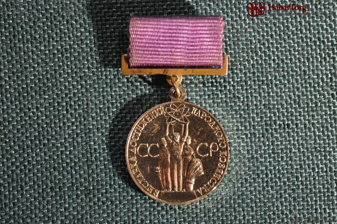 Купить Медаль ВДНХ За успехи в развитии народного хозяйства, 1970г., с ...