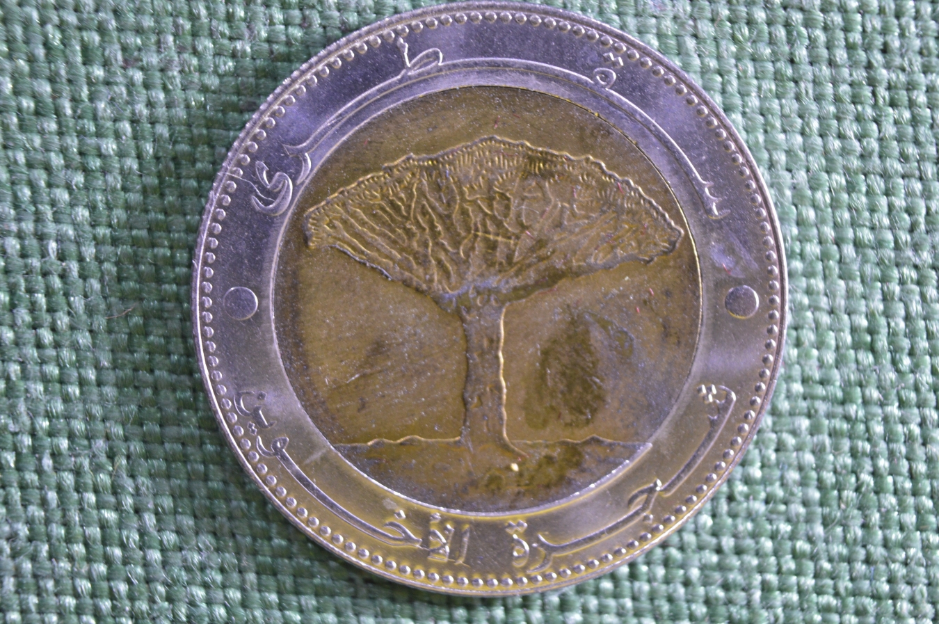 Купить Монета 20 риалов, Йемен, 2004 год. Дерево. Биметалл. 20 rials ...